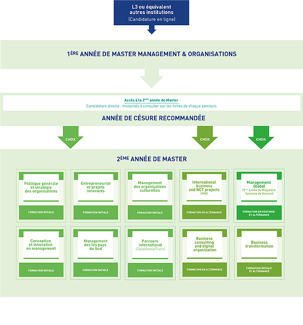 master management et organisations | PSL